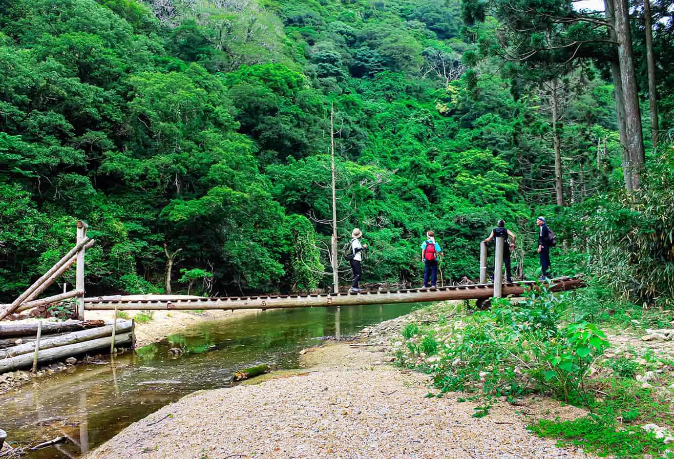 Mt. Maya｜Twenty Cross | Access to Mt.Rokko