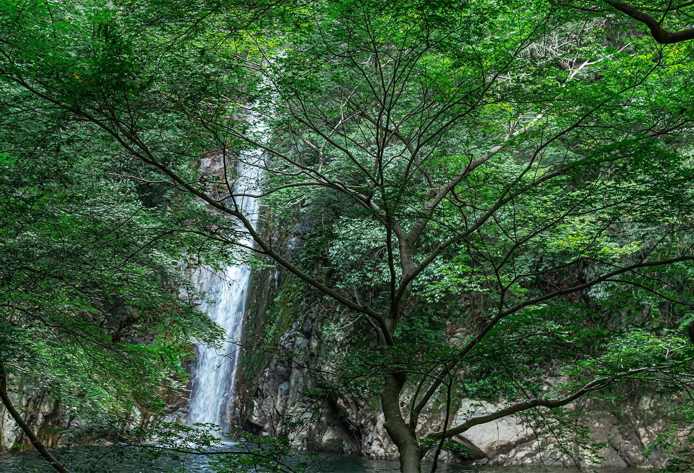 Nunobiki route | Access to Mt.Rokko