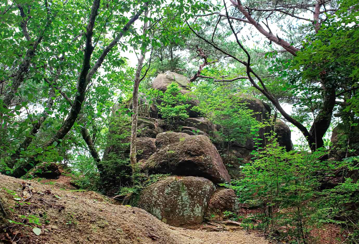 Mt. Maya｜Tengu Road | Access to Mt.Rokko